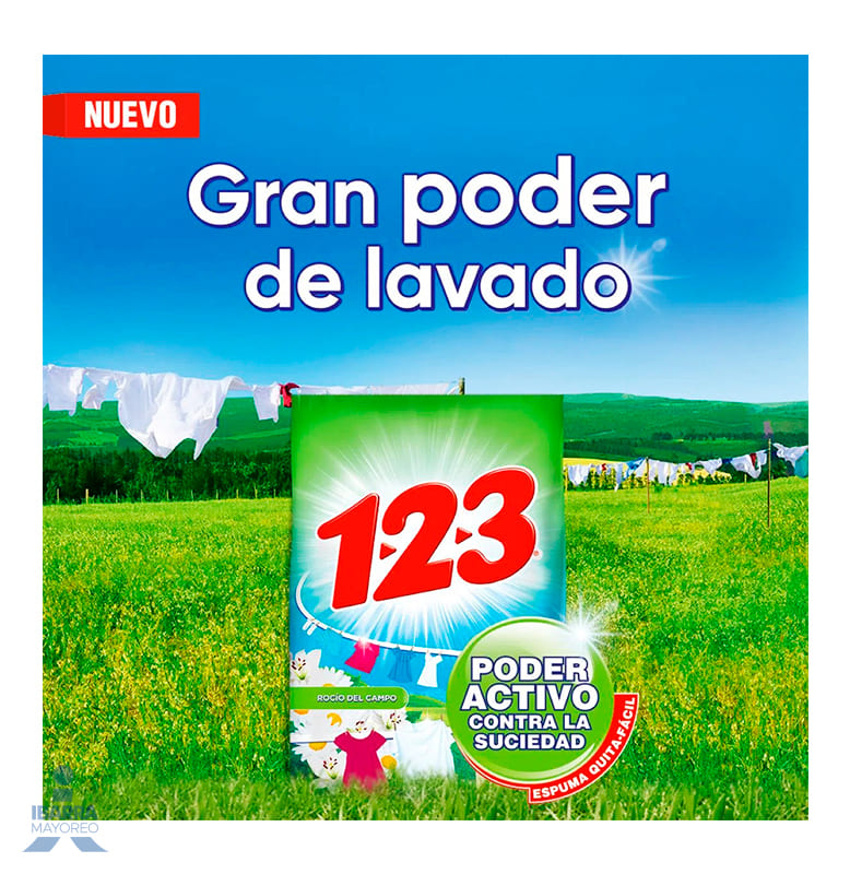 detergente 123 rocio del campo 800 g | Ibarra Mayoreo